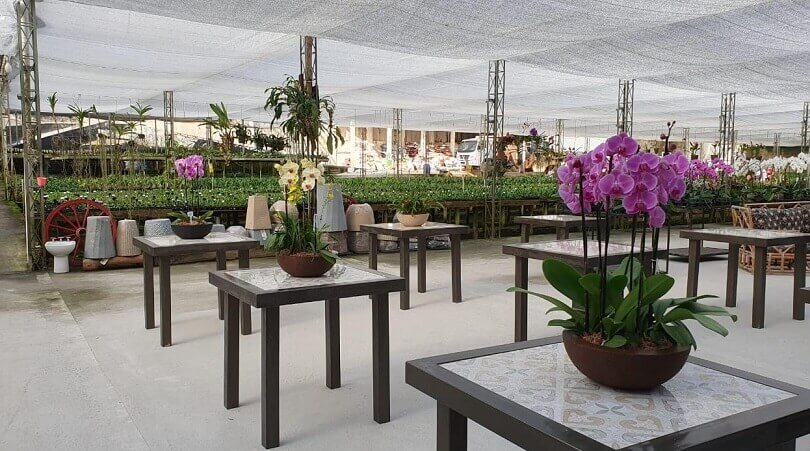 [Turismo] Você conhece o Orquidário Binot? – ACONTECE EM PETRÓPOLIS